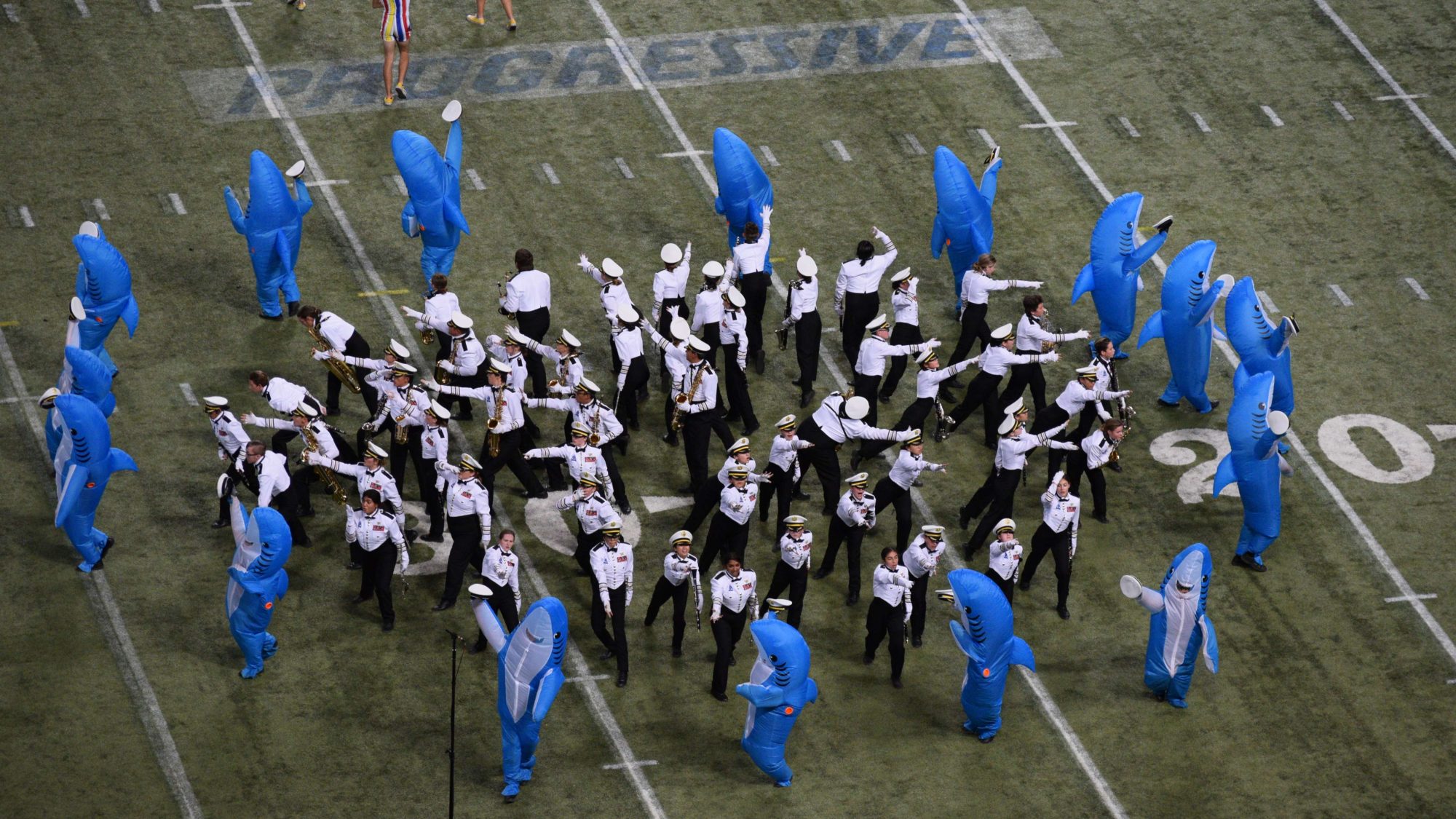 BOX5-TV – Marching | Video & News | Competitions & Live Streaming